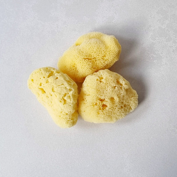 ELYTRUM - Natural Fine Silk Sponge | Genuine Selection